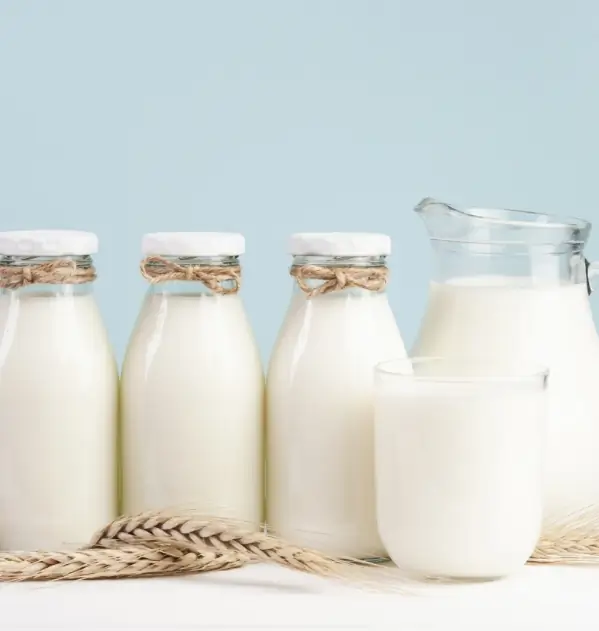 Gavyam | Digitizing Cattle Breeding & Management